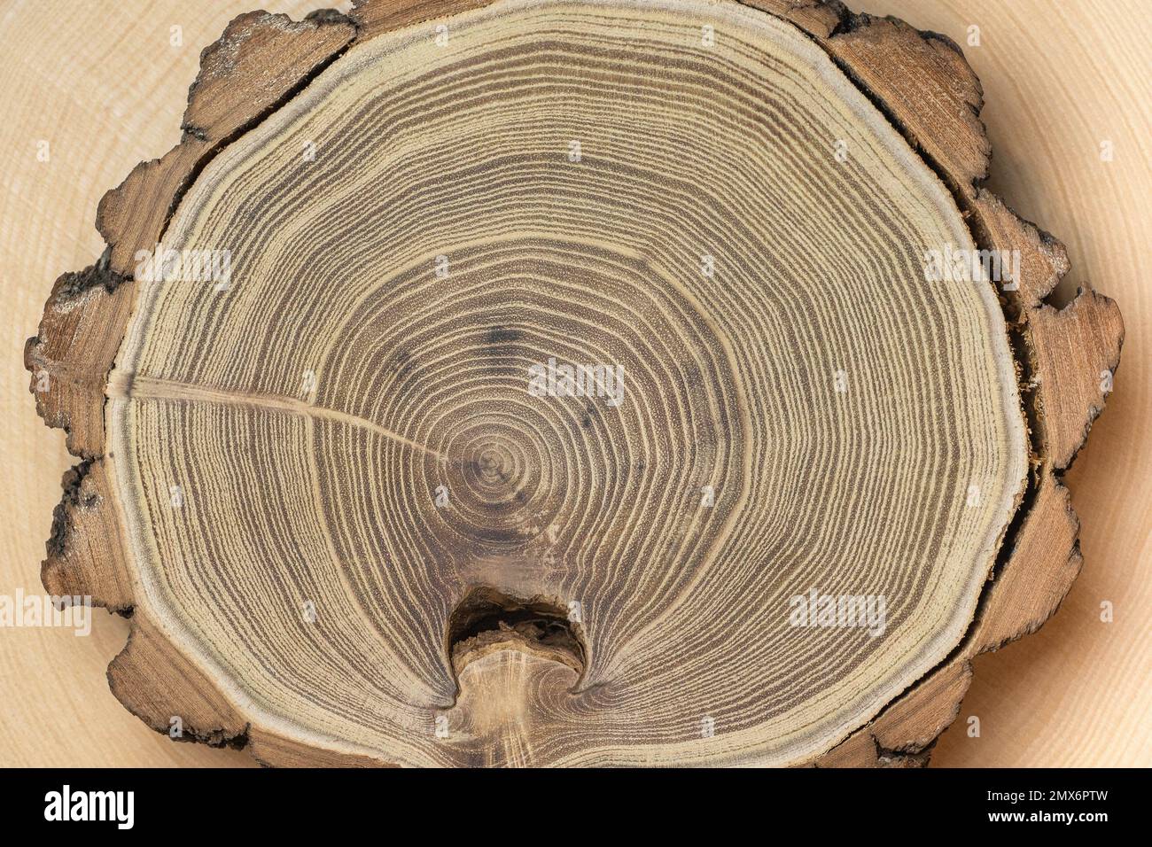 Cross section geometry hi-res stock photography and images - Alamy