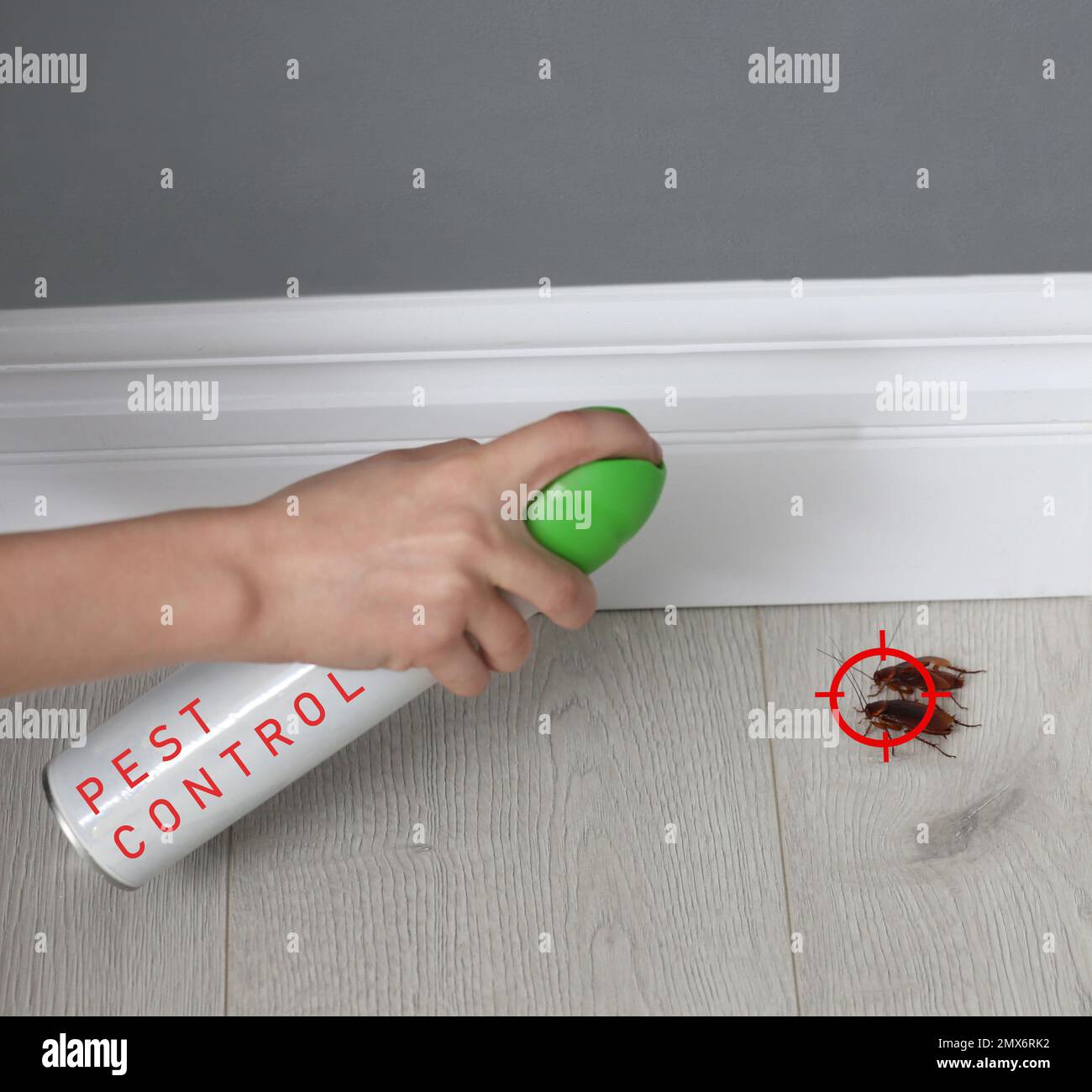 Woman spraying insecticide onto cockroaches with gun target, closeup ...