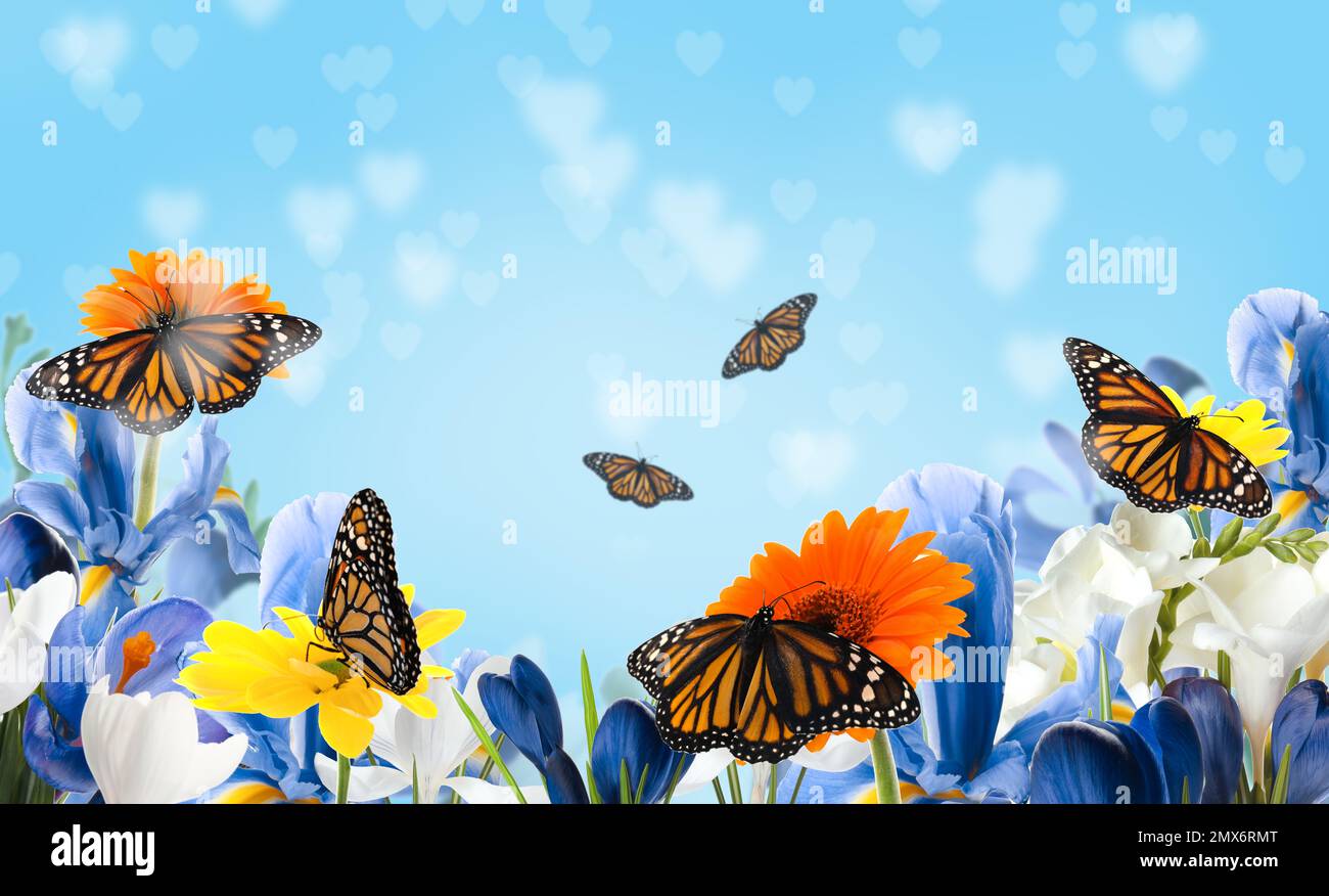 Beautiful blooming flowers and fragile monarch butterflies Stock Photo ...