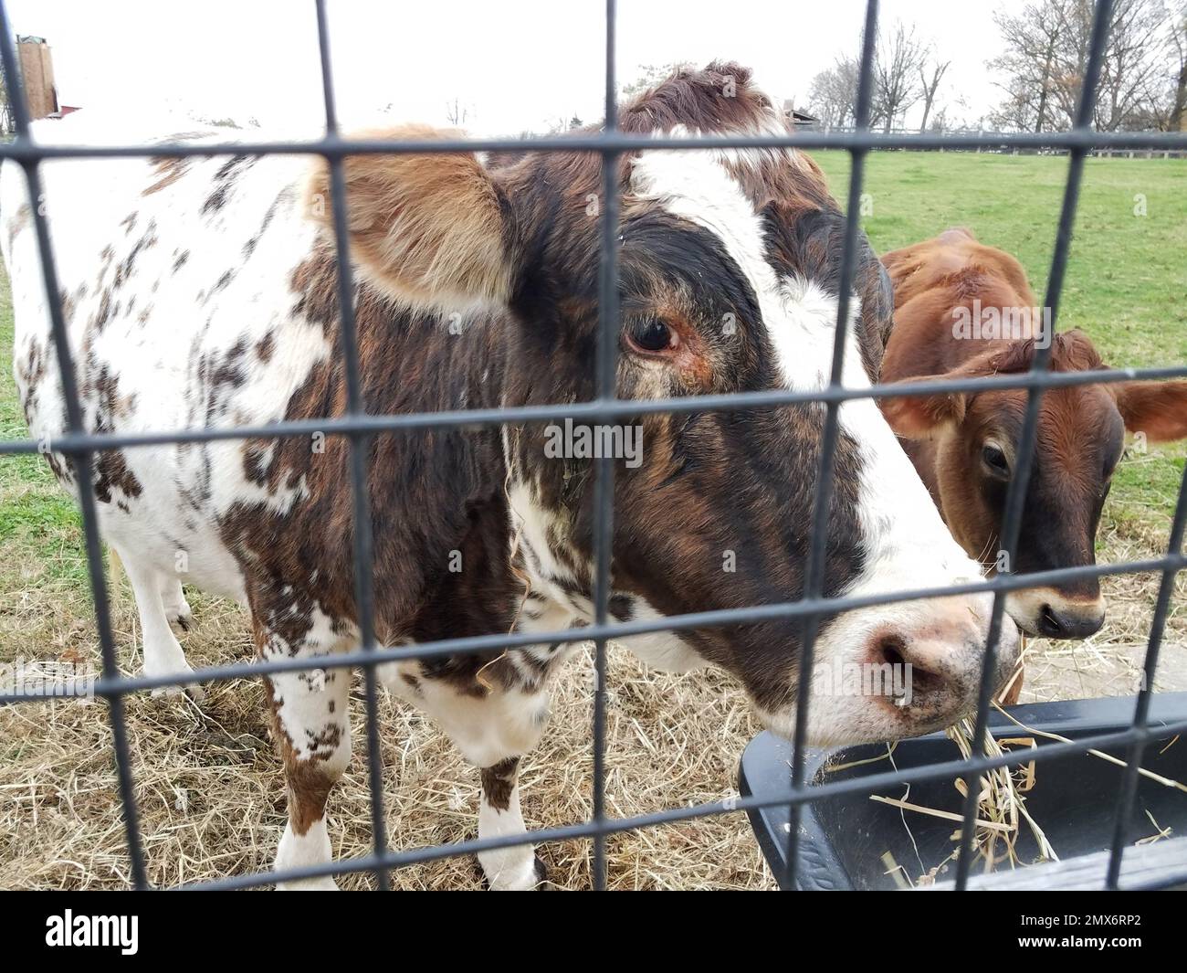 Trough white hi-res stock photography and images - Alamy