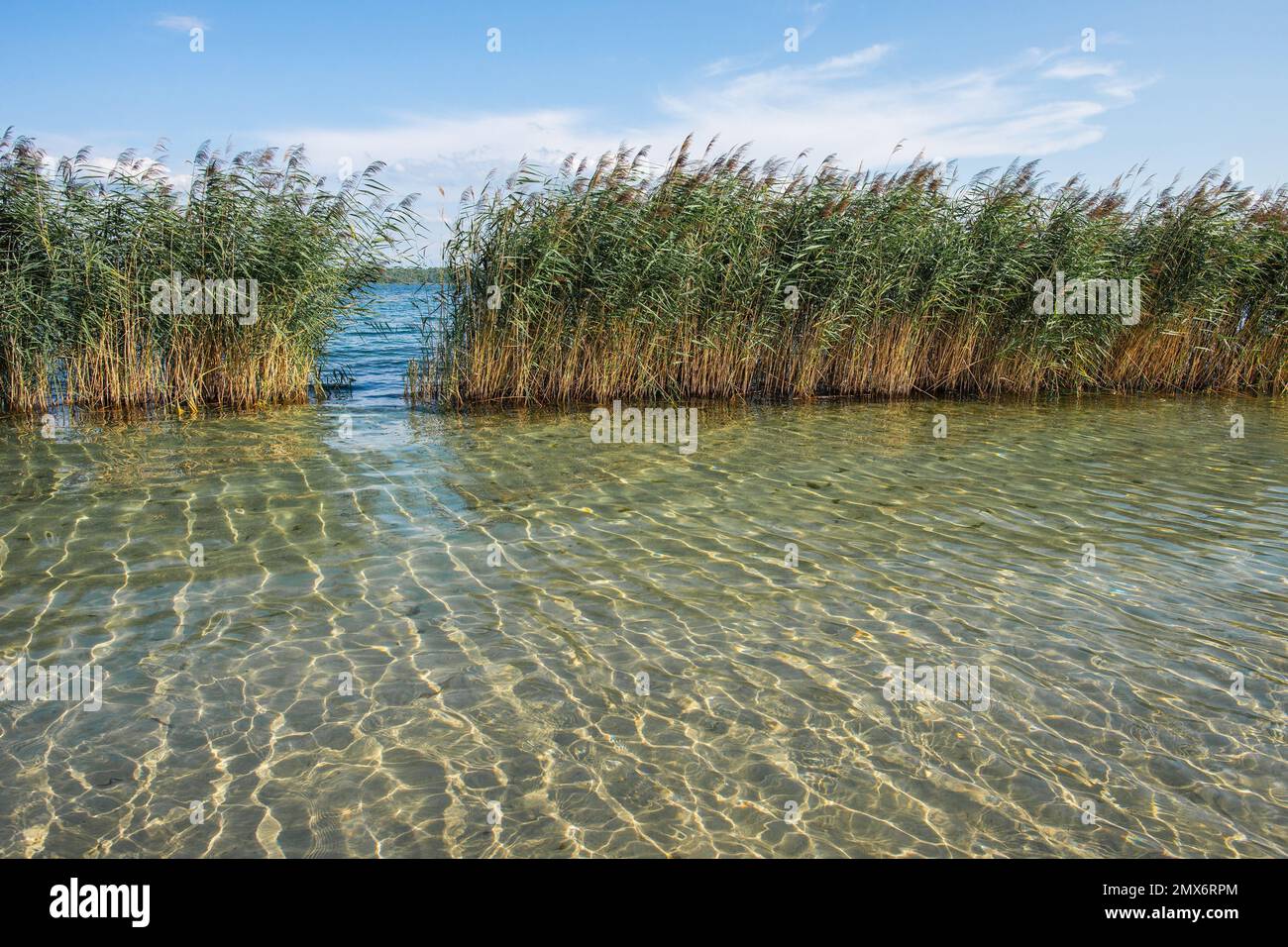Shallow lake hi-res stock photography and images - Alamy