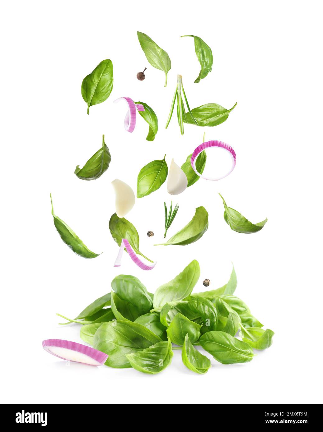 Basil leaves and other ingredients falling on white background Stock ...