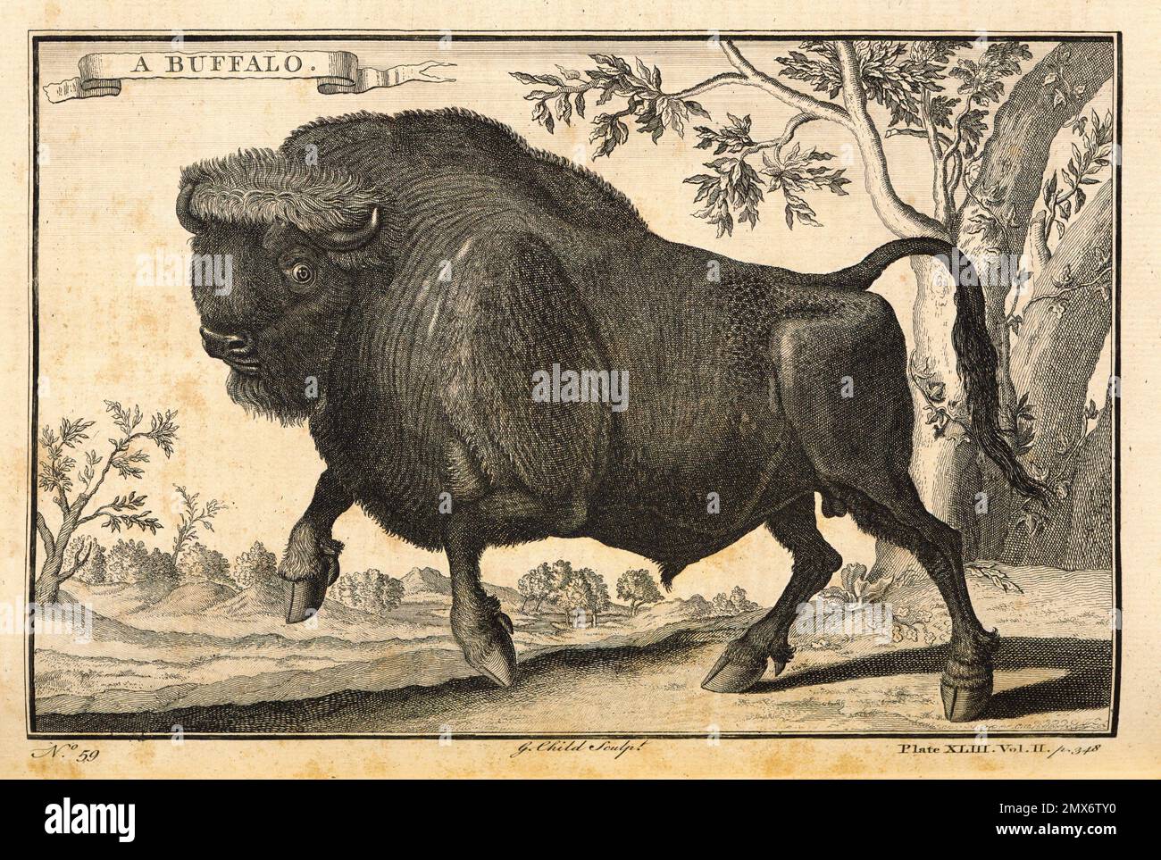 John astley hi-res stock photography and images - Alamy