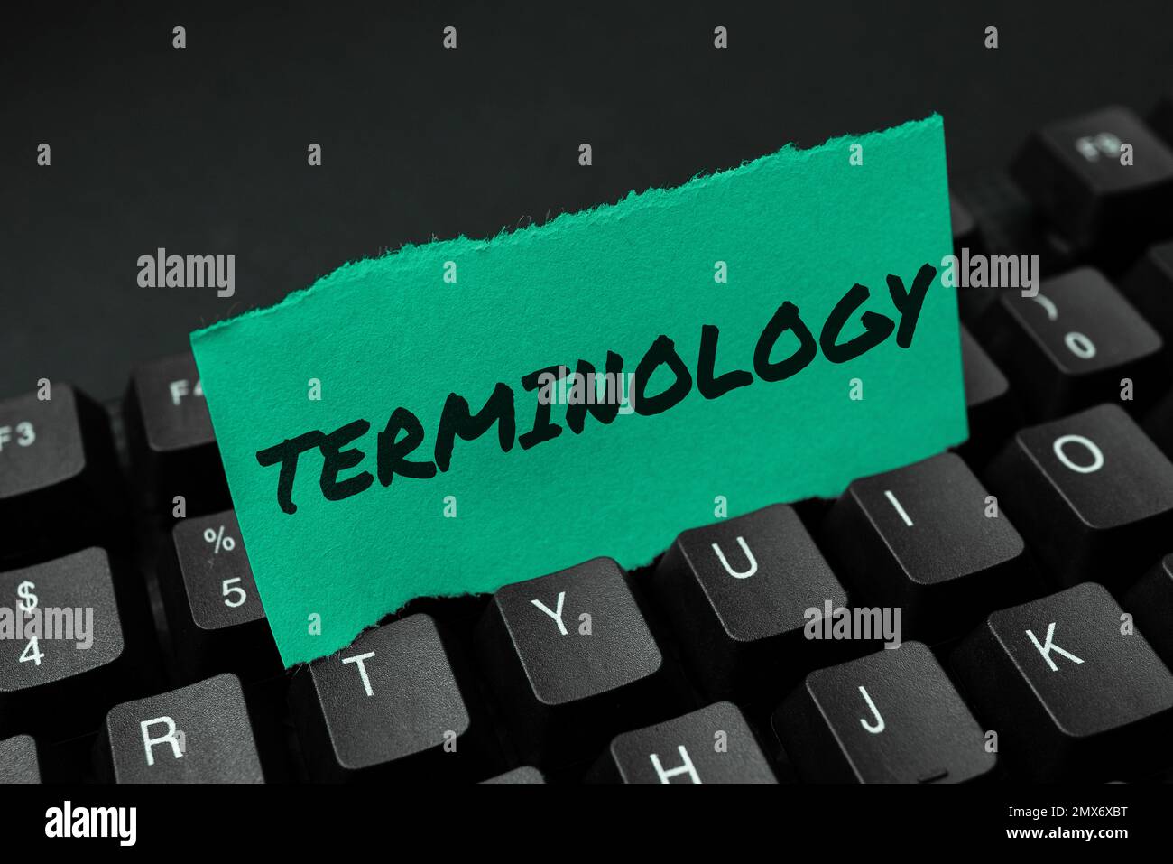 Inspiration showing sign Terminology. Internet Concept Terms used with ...