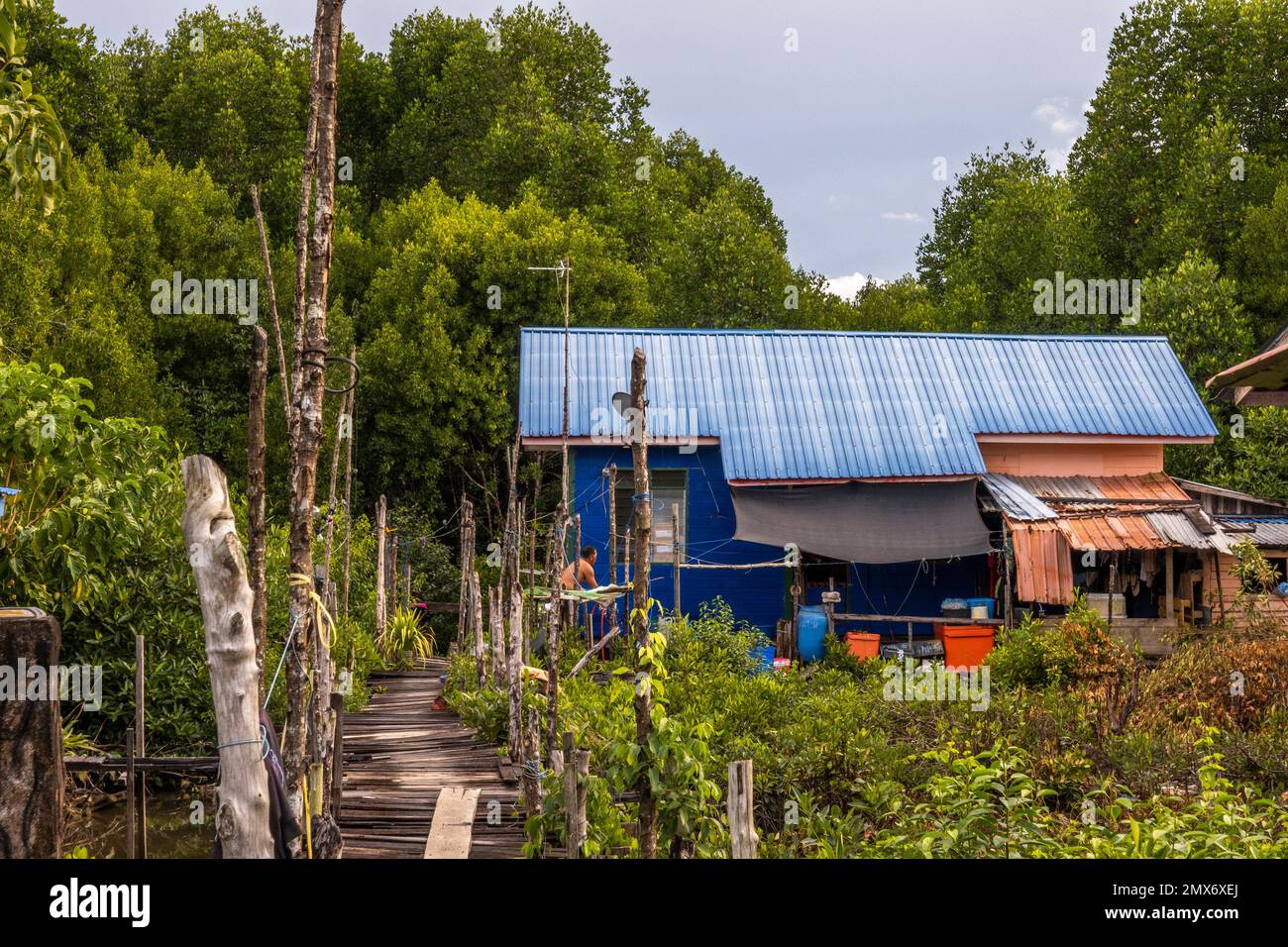 Traditional agriculture sarawak hi-res stock photography and images - Alamy