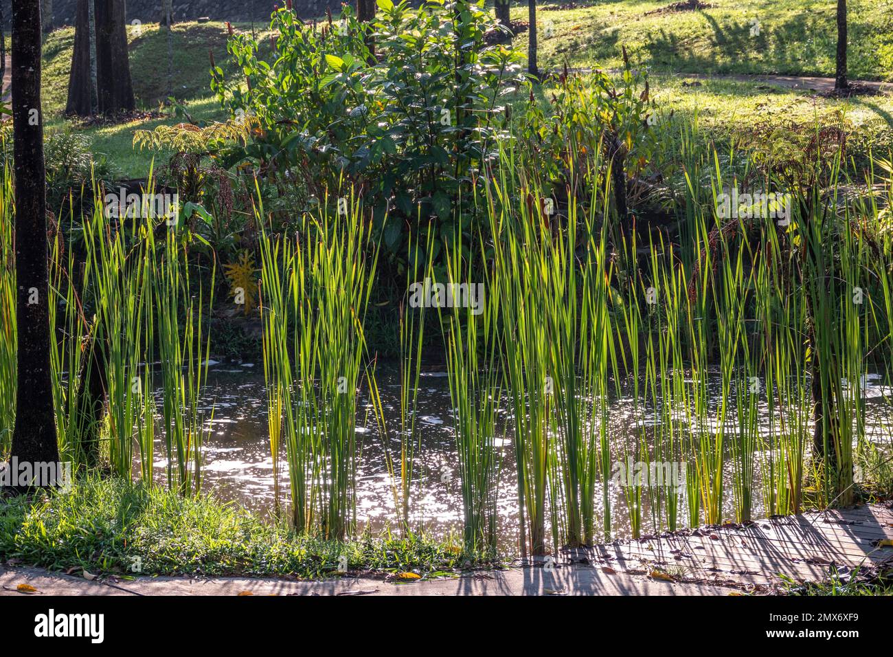Biodiversity education hi-res stock photography and images - Alamy
