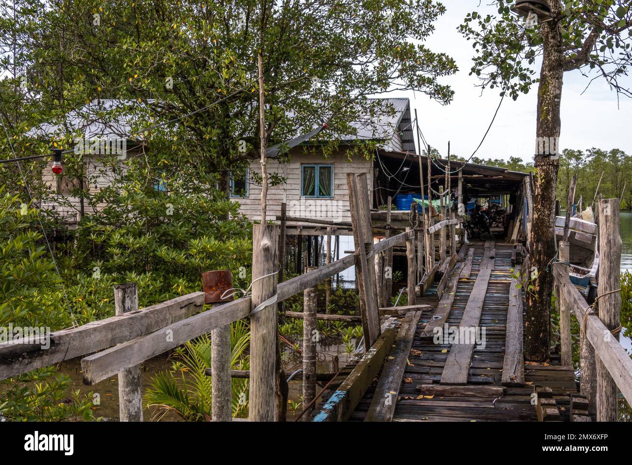 Traditional agriculture sarawak hi-res stock photography and images - Alamy