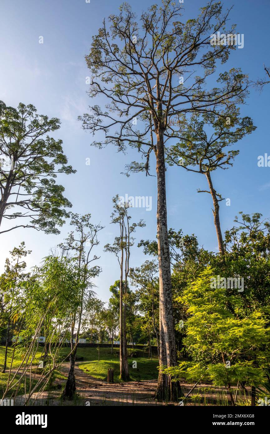 Overall shot hi-res stock photography and images - Alamy