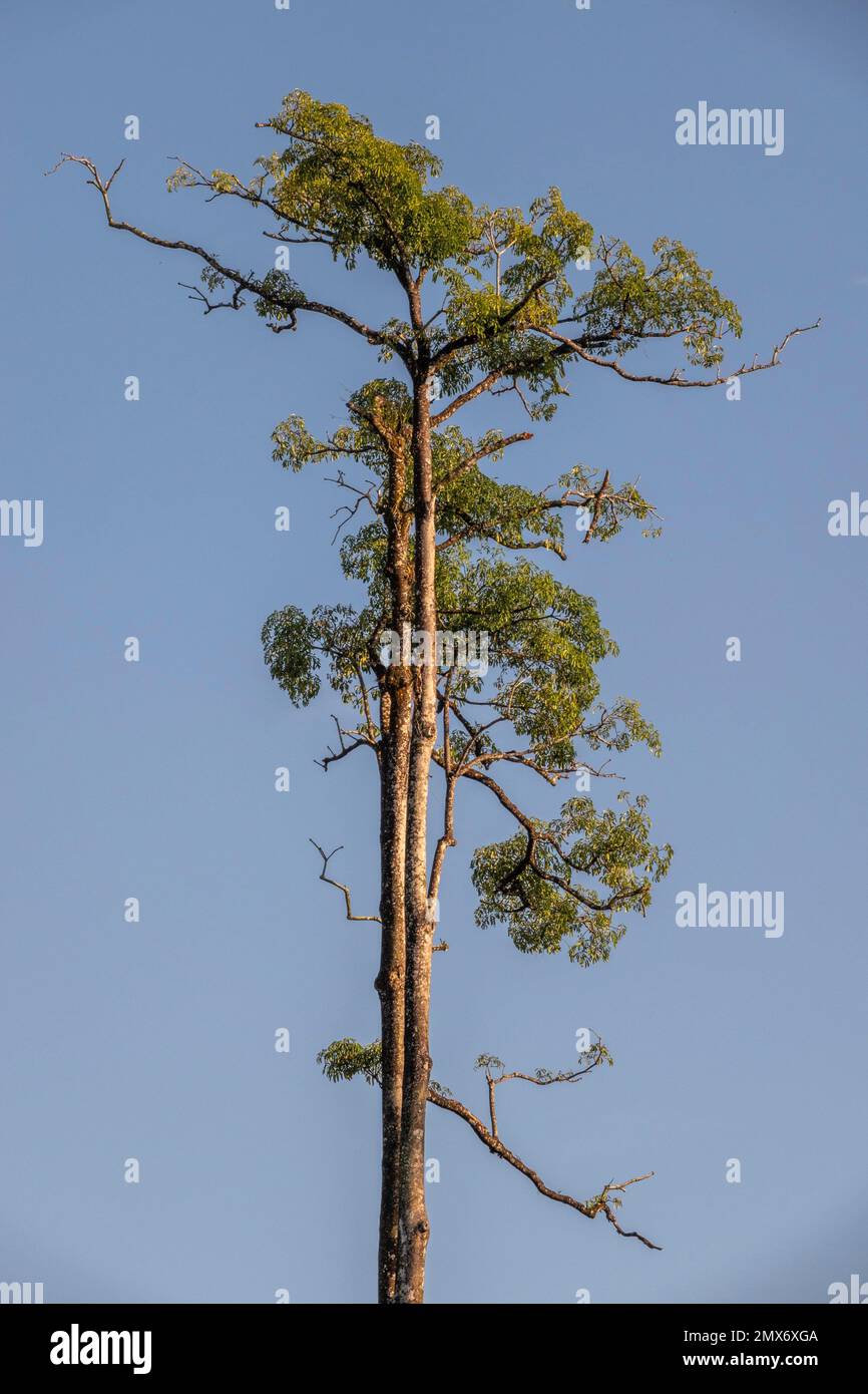 Overall shot hi-res stock photography and images - Alamy
