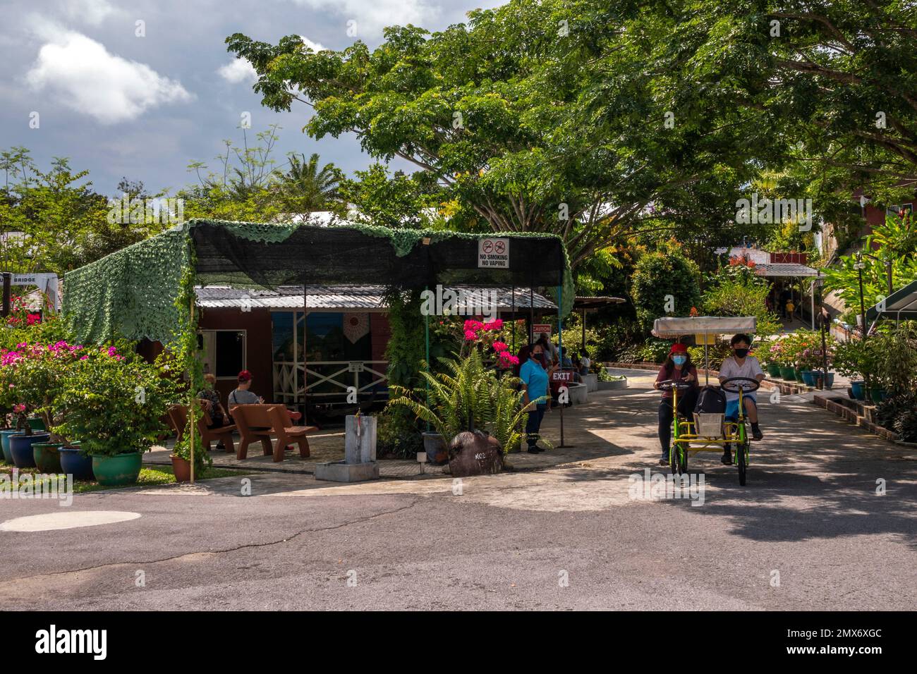 Mini zoo hi-res stock photography and images - Alamy