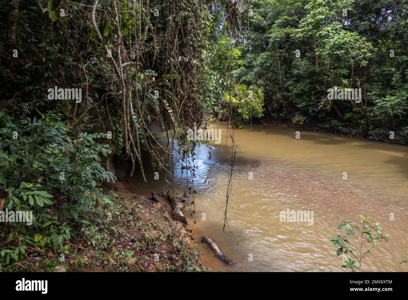 Limestone karst cave malaysia hi-res stock photography and images - Alamy
