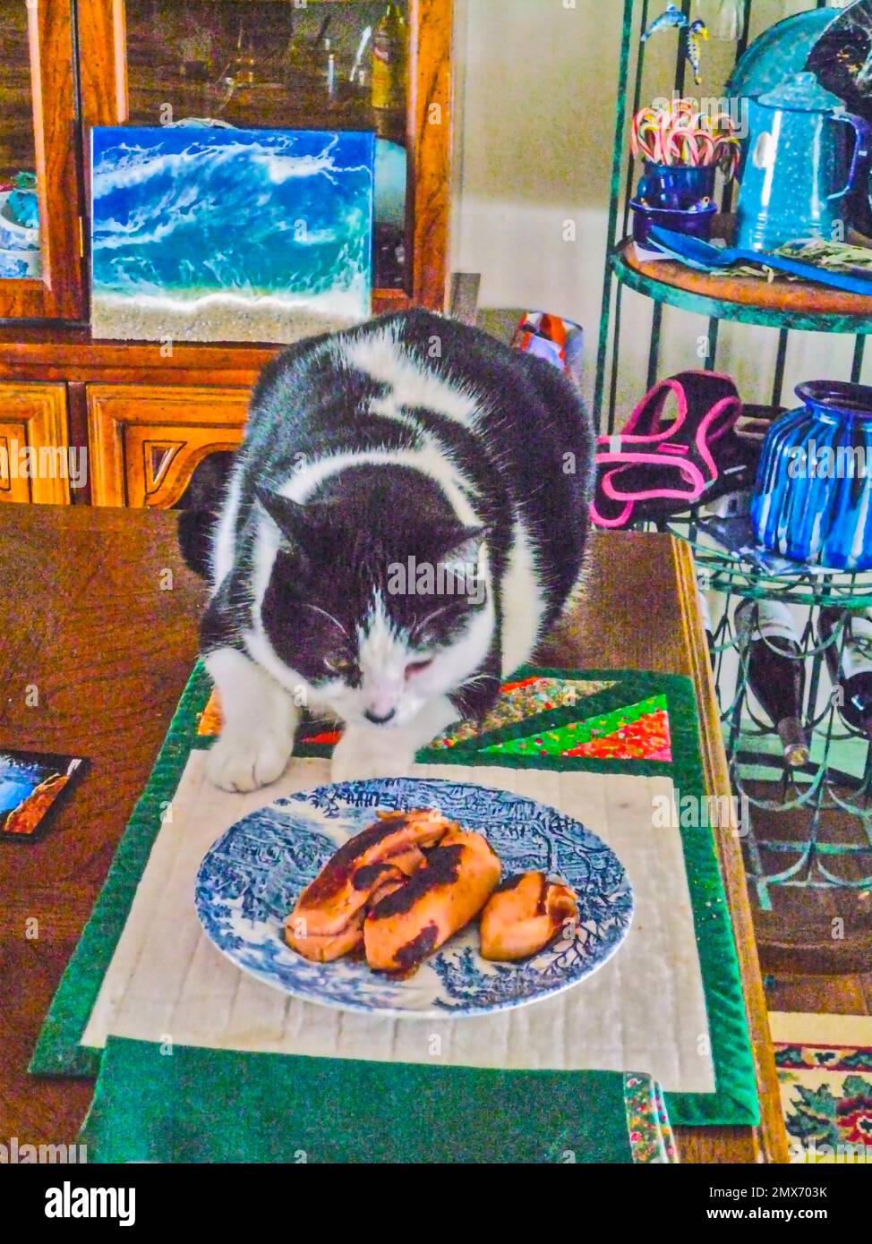 Cat dinner table hi-res stock photography and images - Alamy