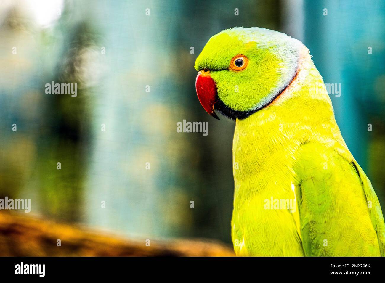 Malaysia mauritius hi-res stock photography and images - Alamy