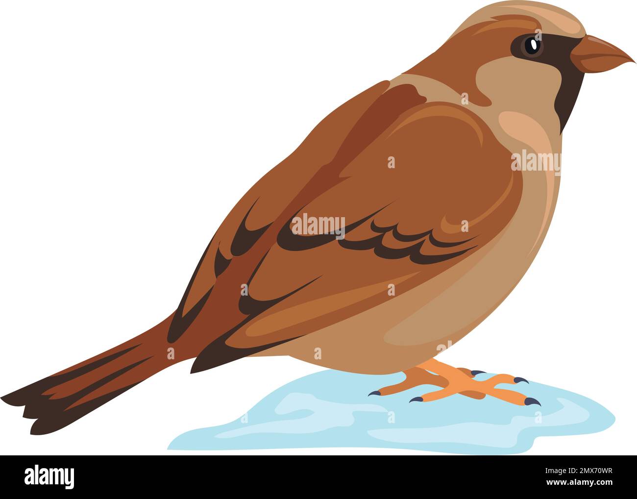 European garden wildlife Stock Vector Images - Alamy