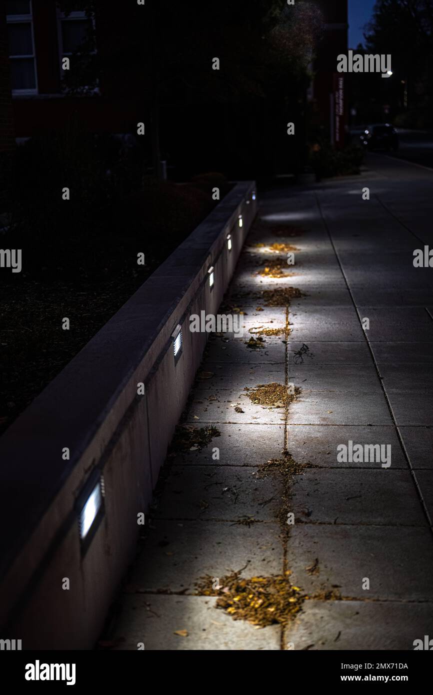 Illuminated Walkway at Night in Fall Stock Photo - Alamy