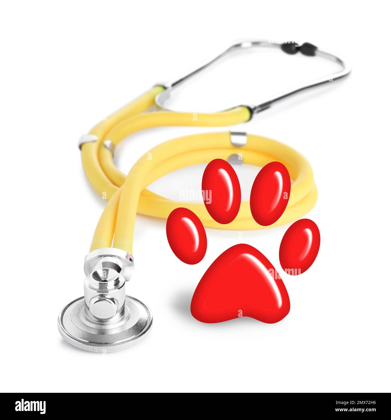 Stethoscope and animal paw on white background Stock Photo - Alamy