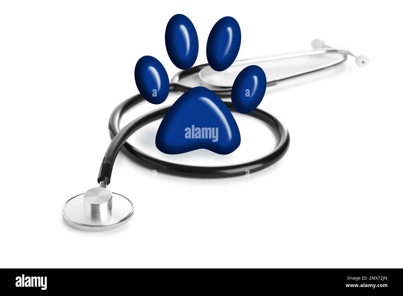 Stethoscope animal paw on hi-res stock photography and images - Alamy