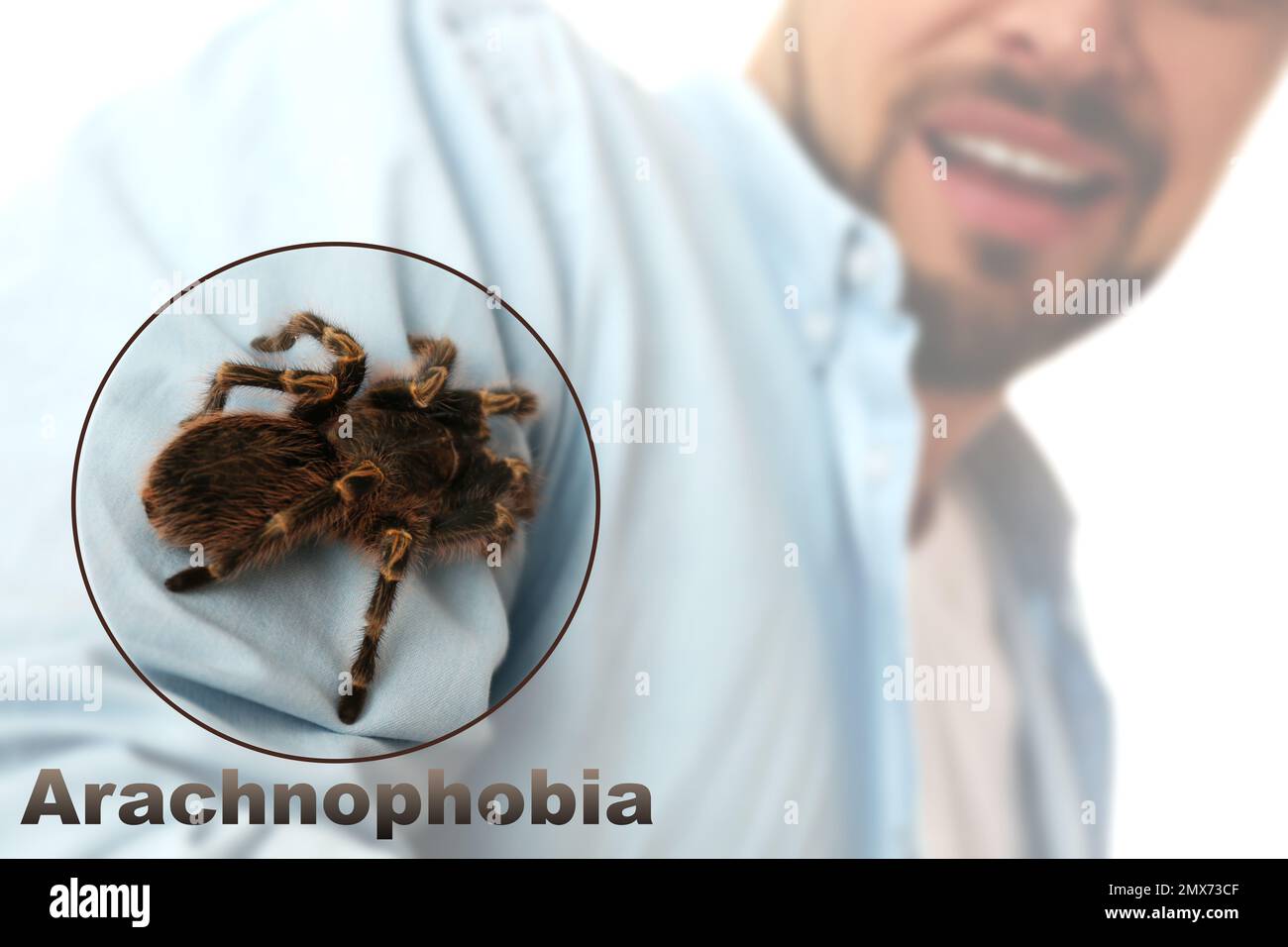 Closeup view of scared man with tarantula, focus on spider ...