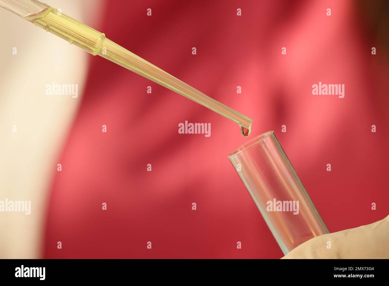 The yellow drop of oil is dripping from a pipette to a flask Stock ...