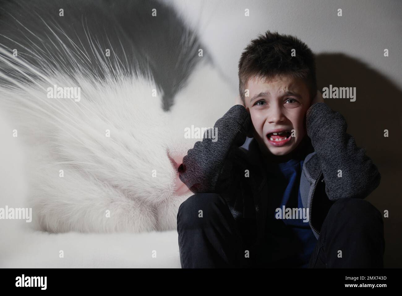 Little boy suffering from ailurophobia. Irrational fear of cats Stock ...