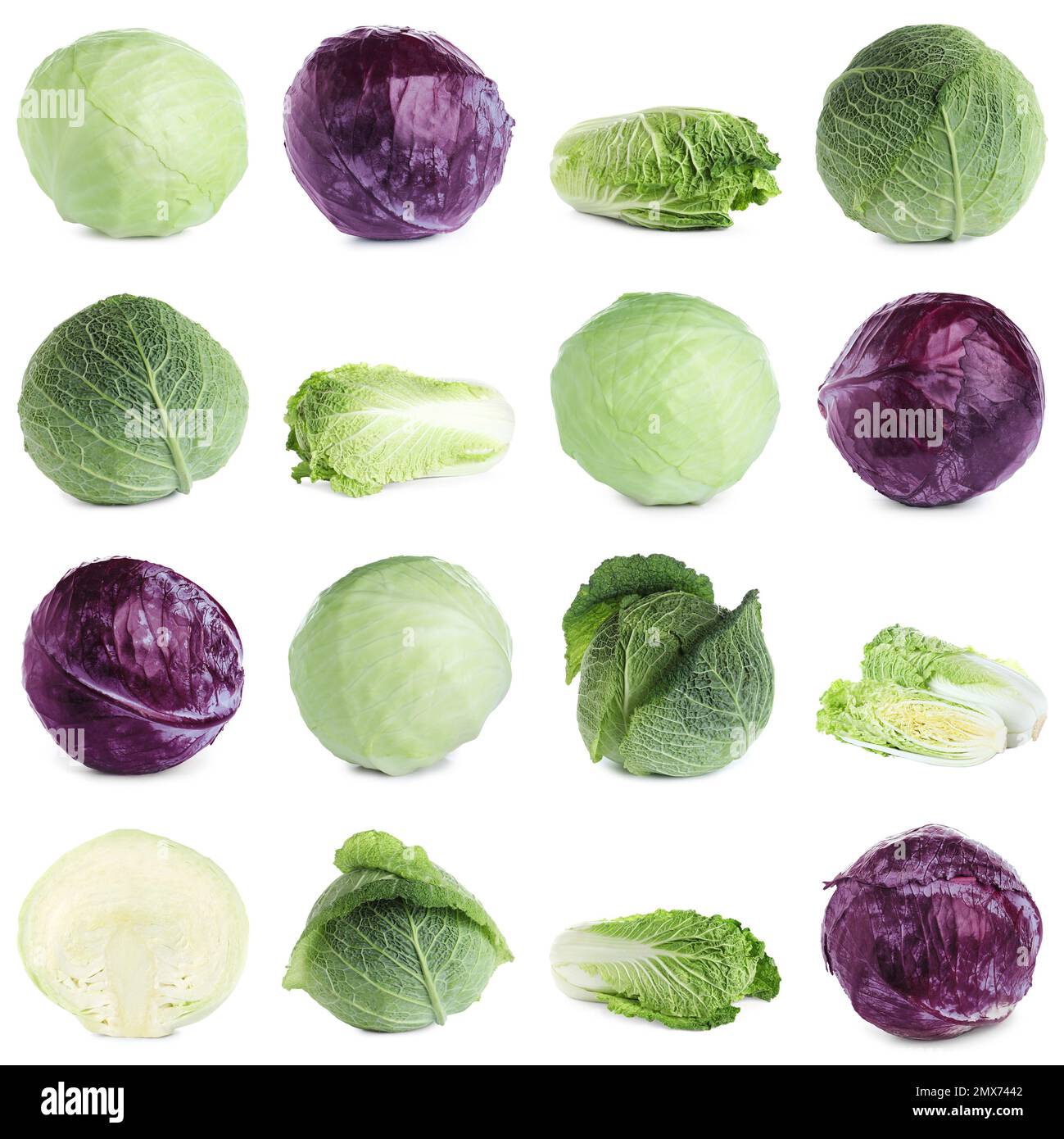 Set of different fresh cabbages on white background Stock Photo - Alamy