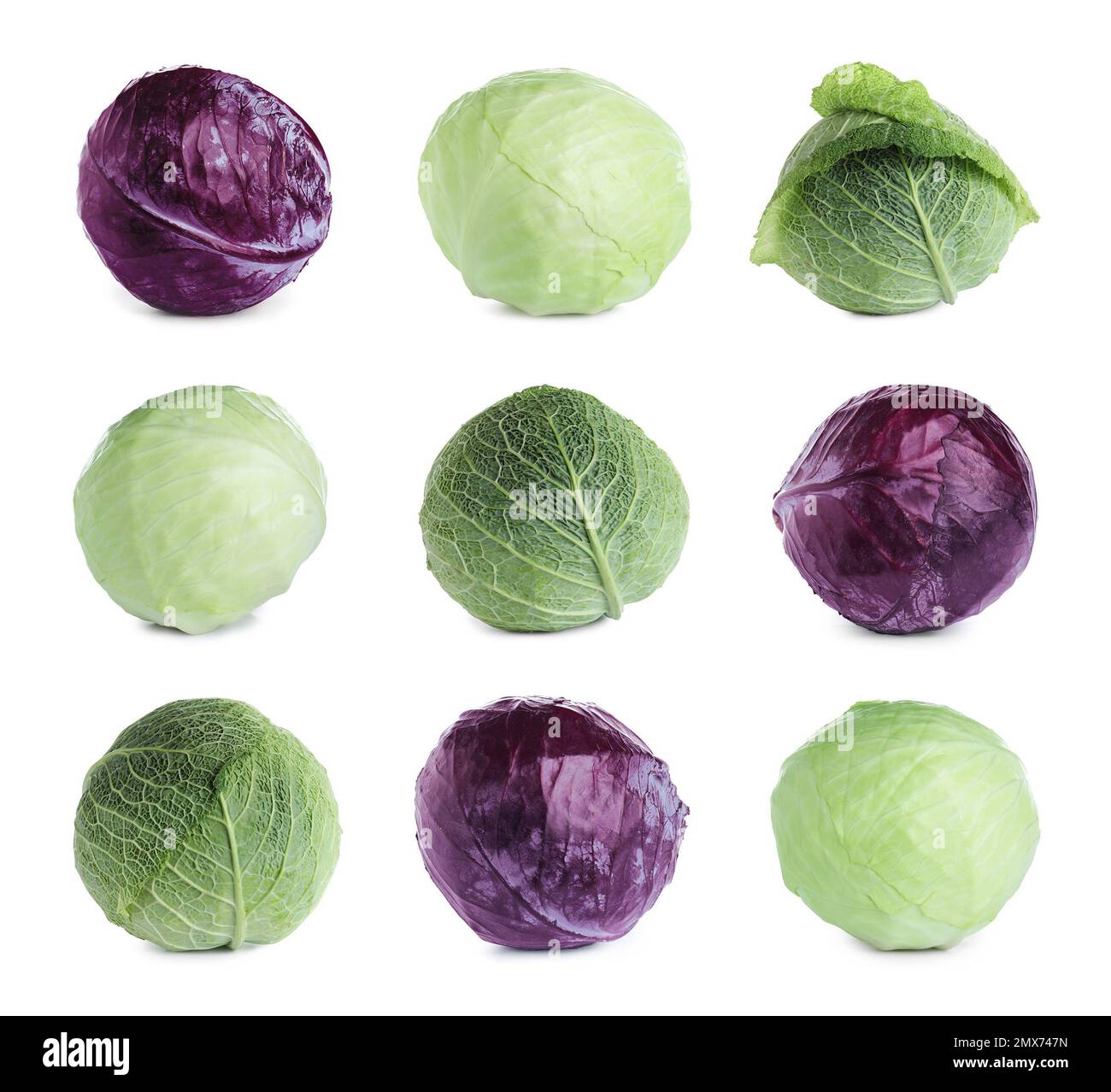 Set of different fresh cabbages on white background Stock Photo - Alamy