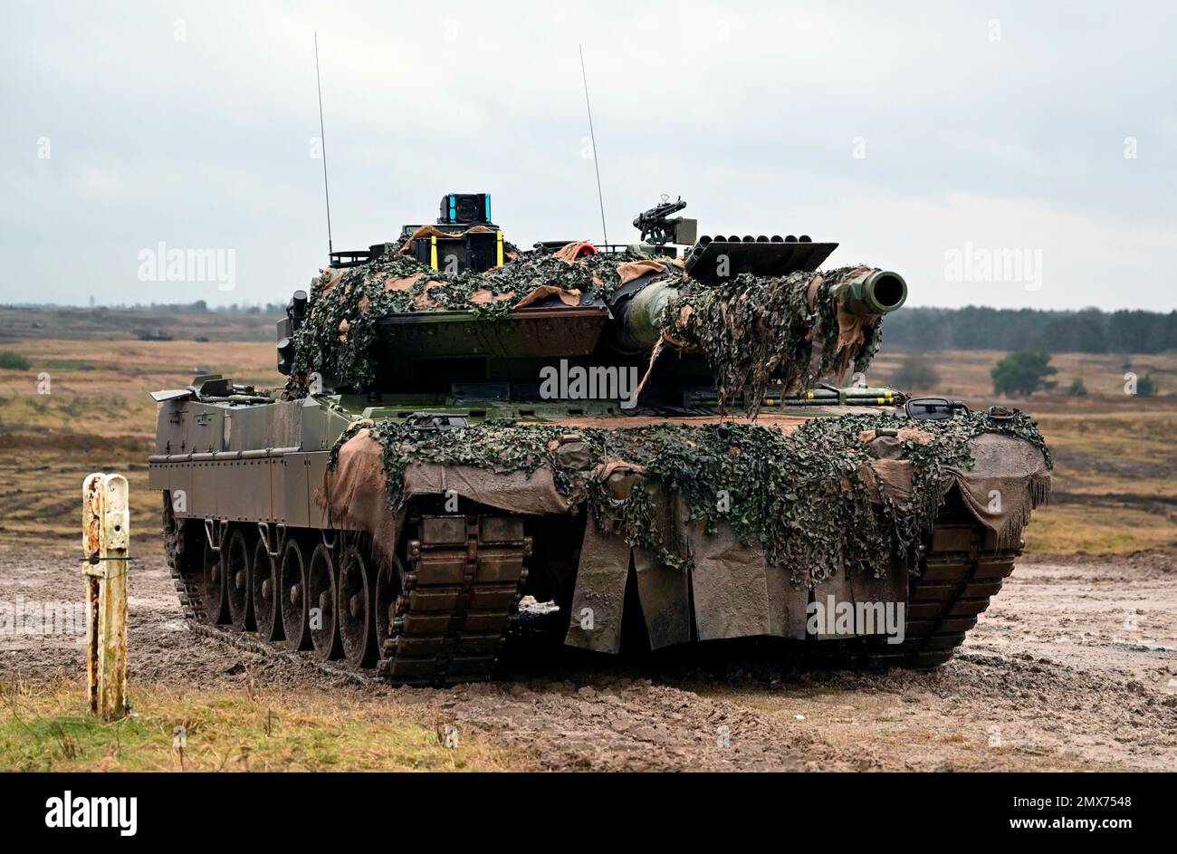 Leopard 2A6 main battle tank of Panzer Battalion 203 Stock Photo - Alamy