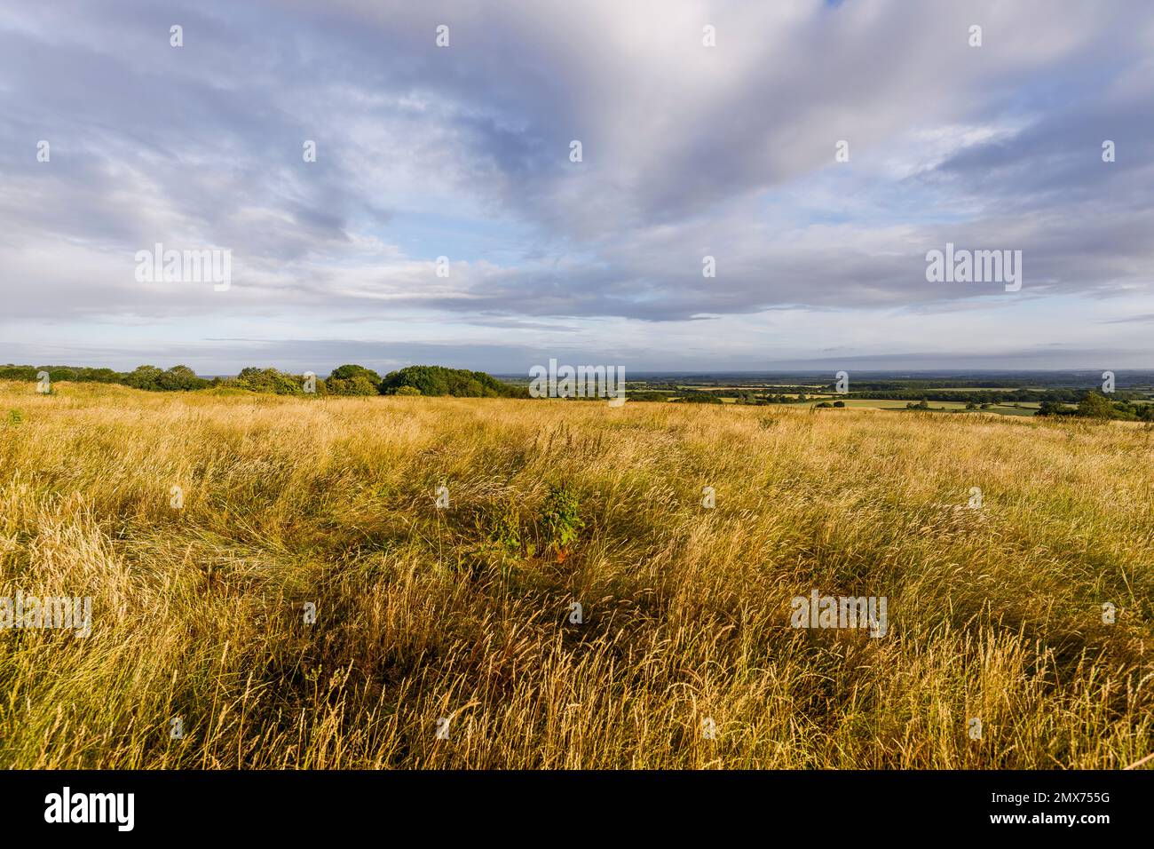 Blunsdon & Swindon Local Area Photography Stock Photo - Alamy