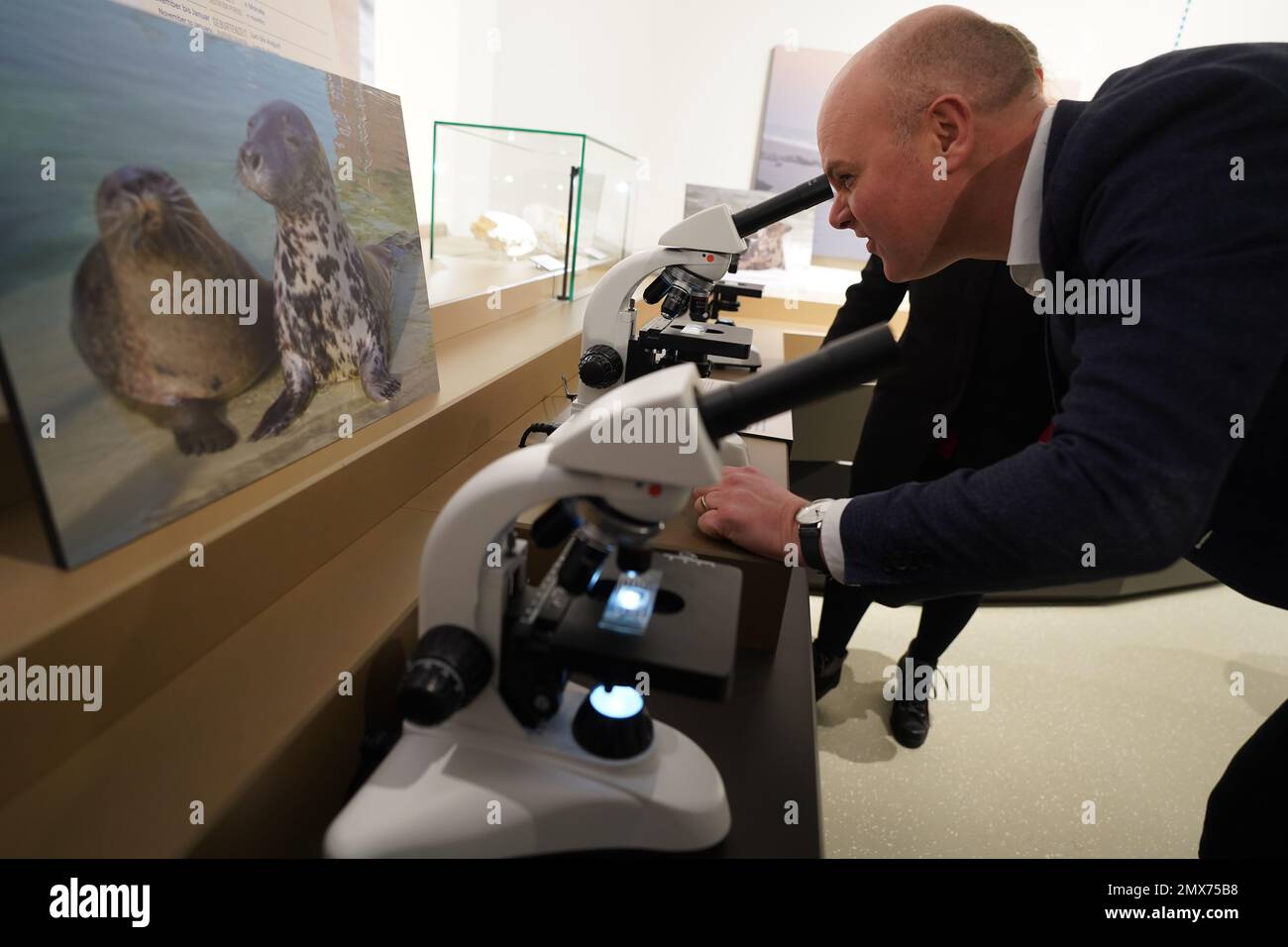 Friedrichskoog, Germany. 30th Jan, 2023. Tobias Goldschmidt (Bündnis 90 ...
