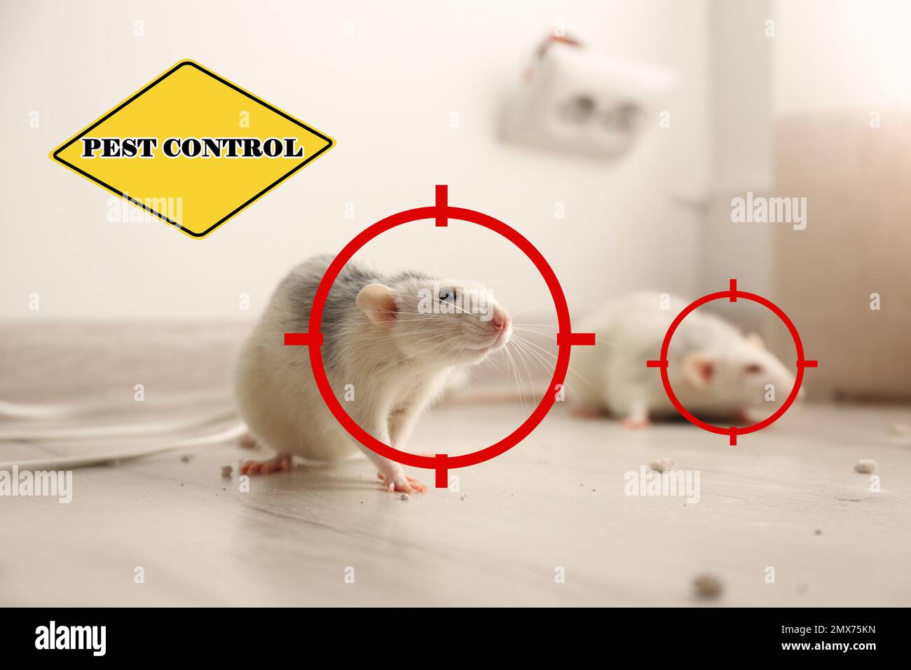 Gun targets on rats indoors and warning sign Pest Control Stock Photo ...