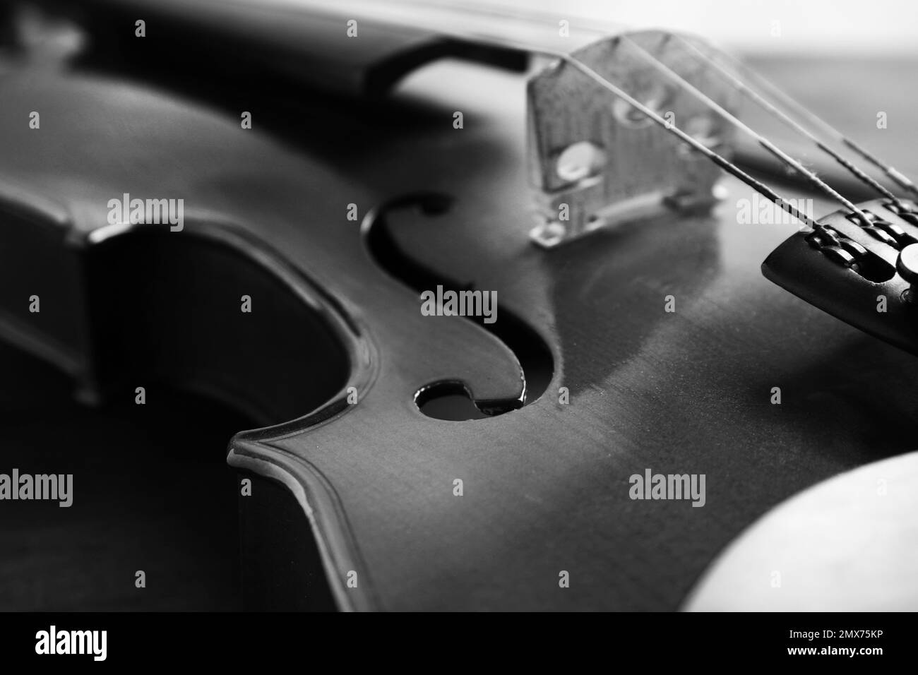 Beautiful classic violin, closeup view. Musical instrument Stock Photo ...