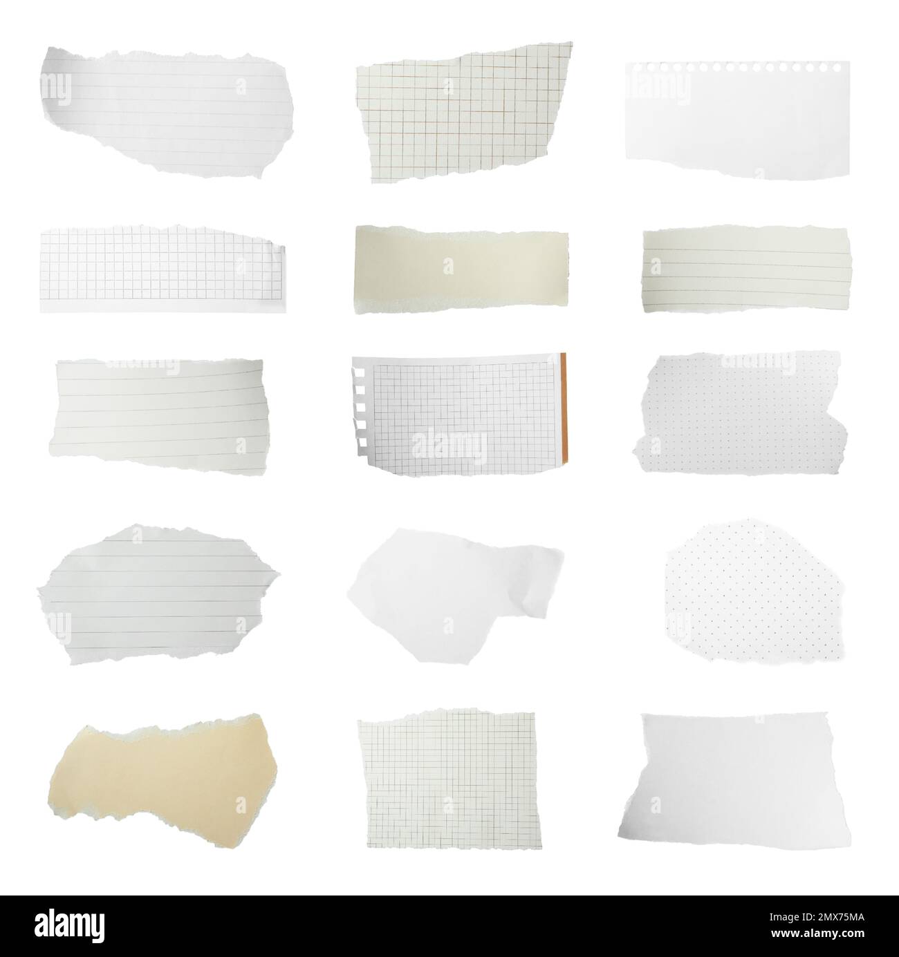 Torn ripped notebook papers Cut Out Stock Images & Pictures - Alamy
