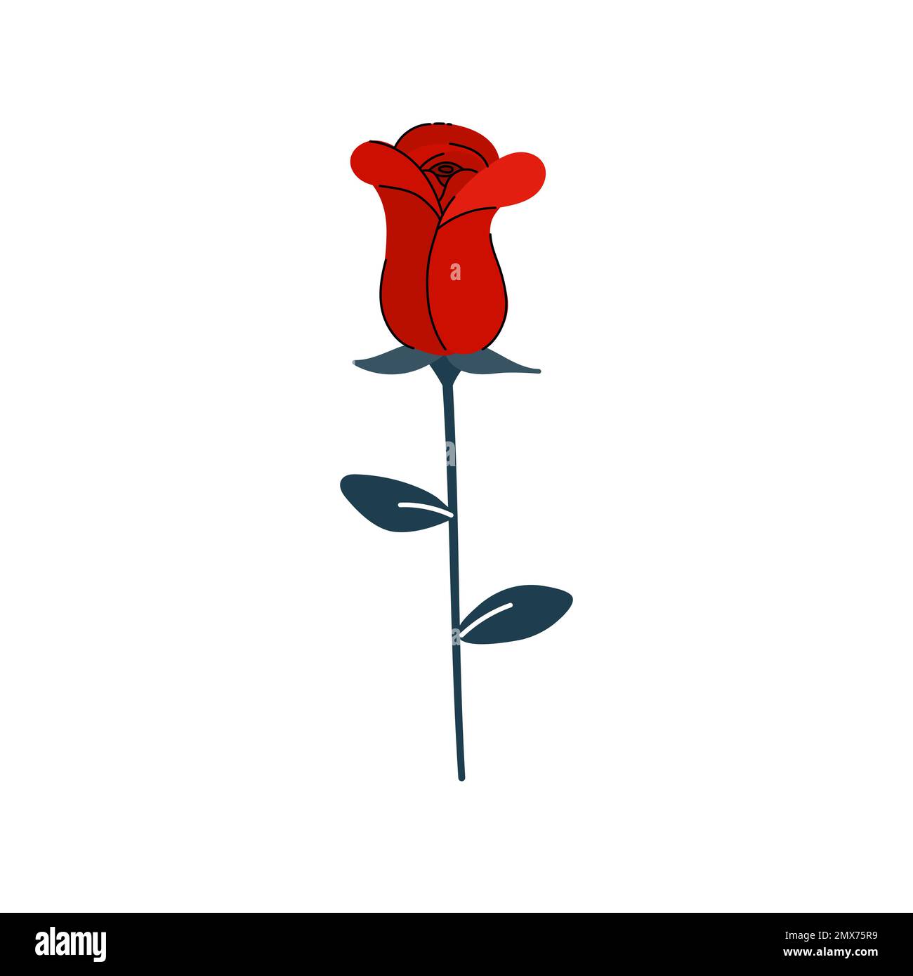 Happy Valentine's Day. Isolated single red rose. Concept of romantic ...