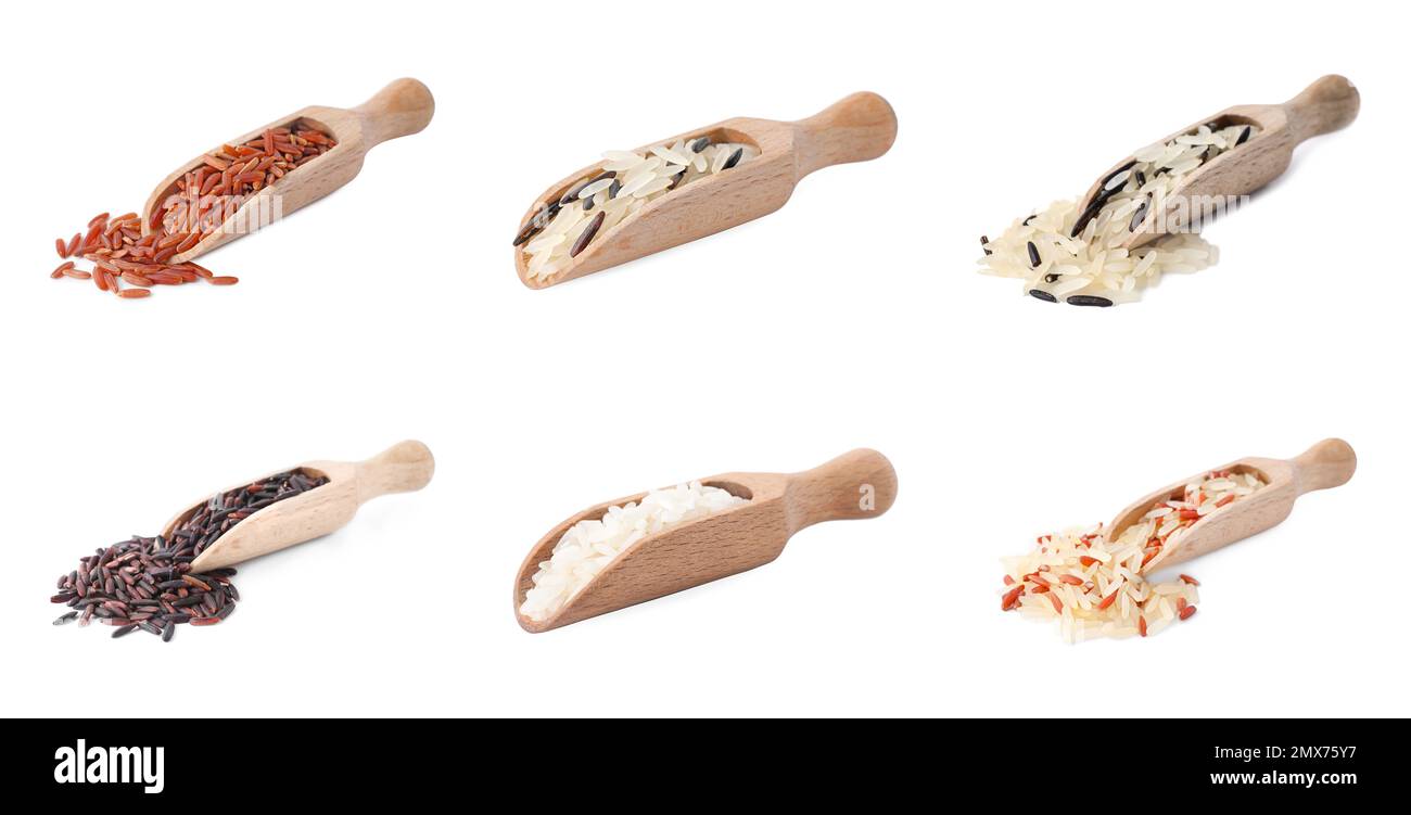 Set with different types of rice on white background. Banner design ...