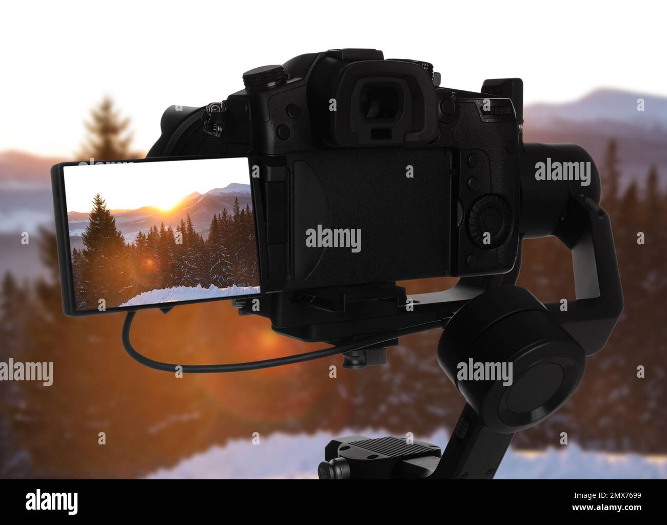 Recording beautiful view of snowy forest on professional video camera ...