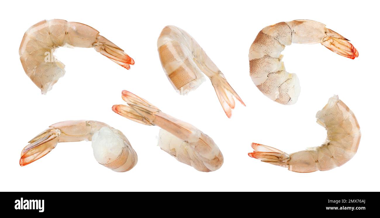 Collage of raw shrimps on white background, Banner design Stock Photo ...