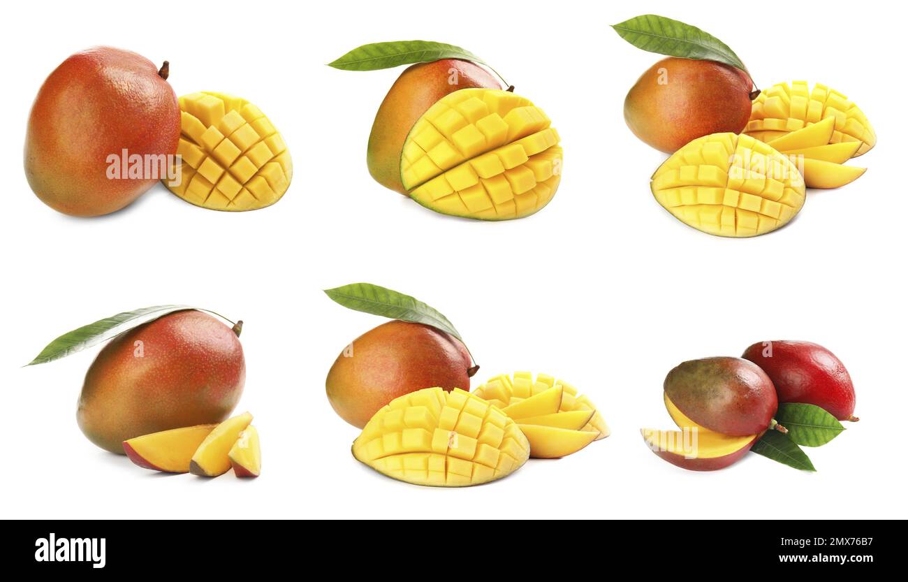 Set of delicious mangoes on white background. Banner design Stock Photo ...