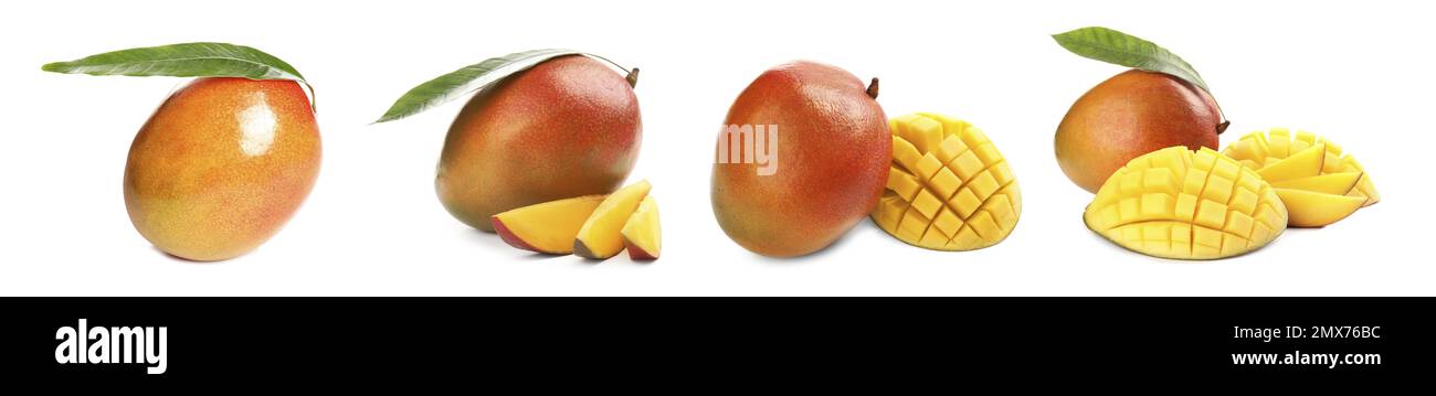 Set of delicious mangoes on white background. Banner design Stock Photo ...