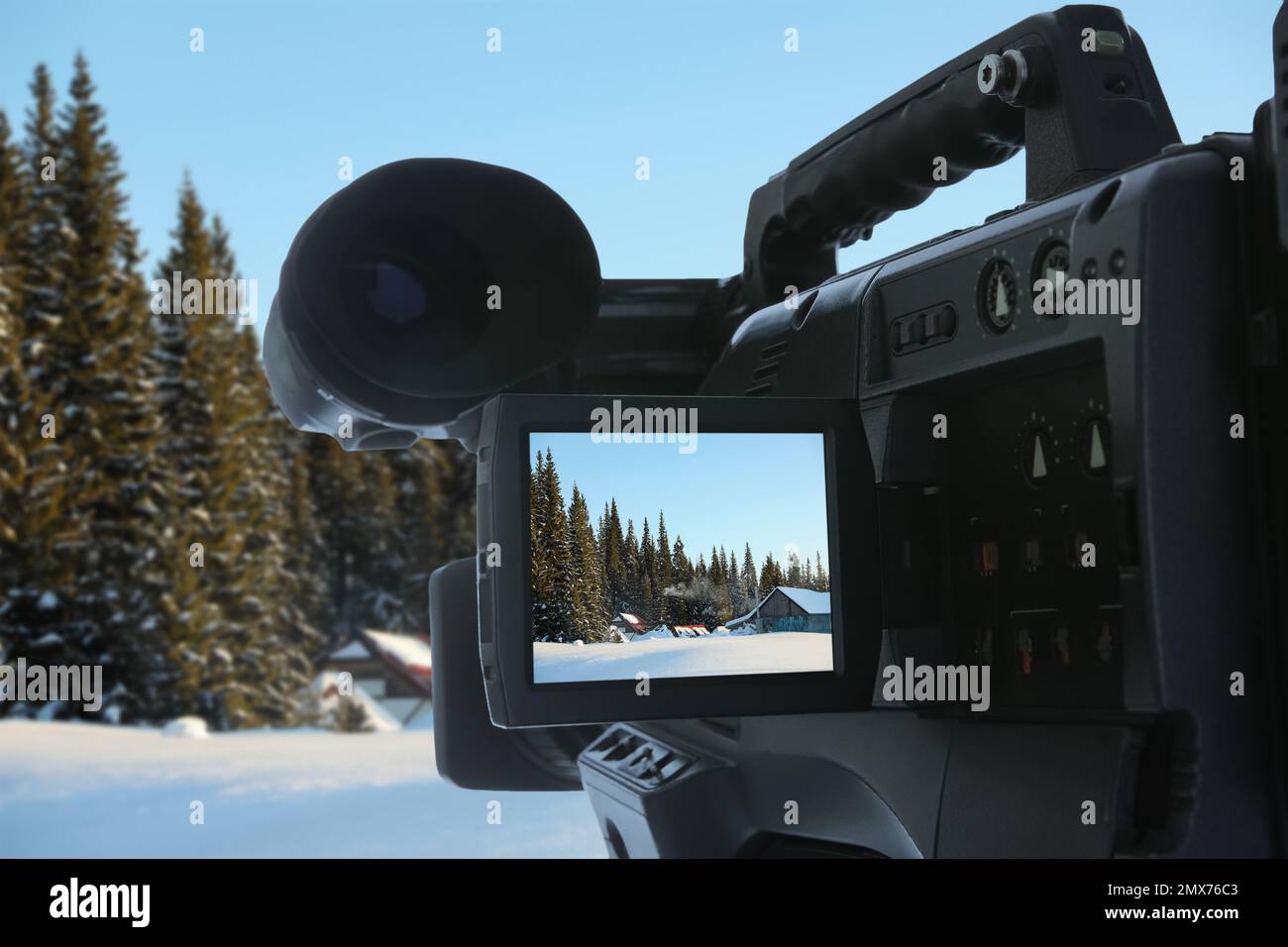 Camera Recording Screen Forest