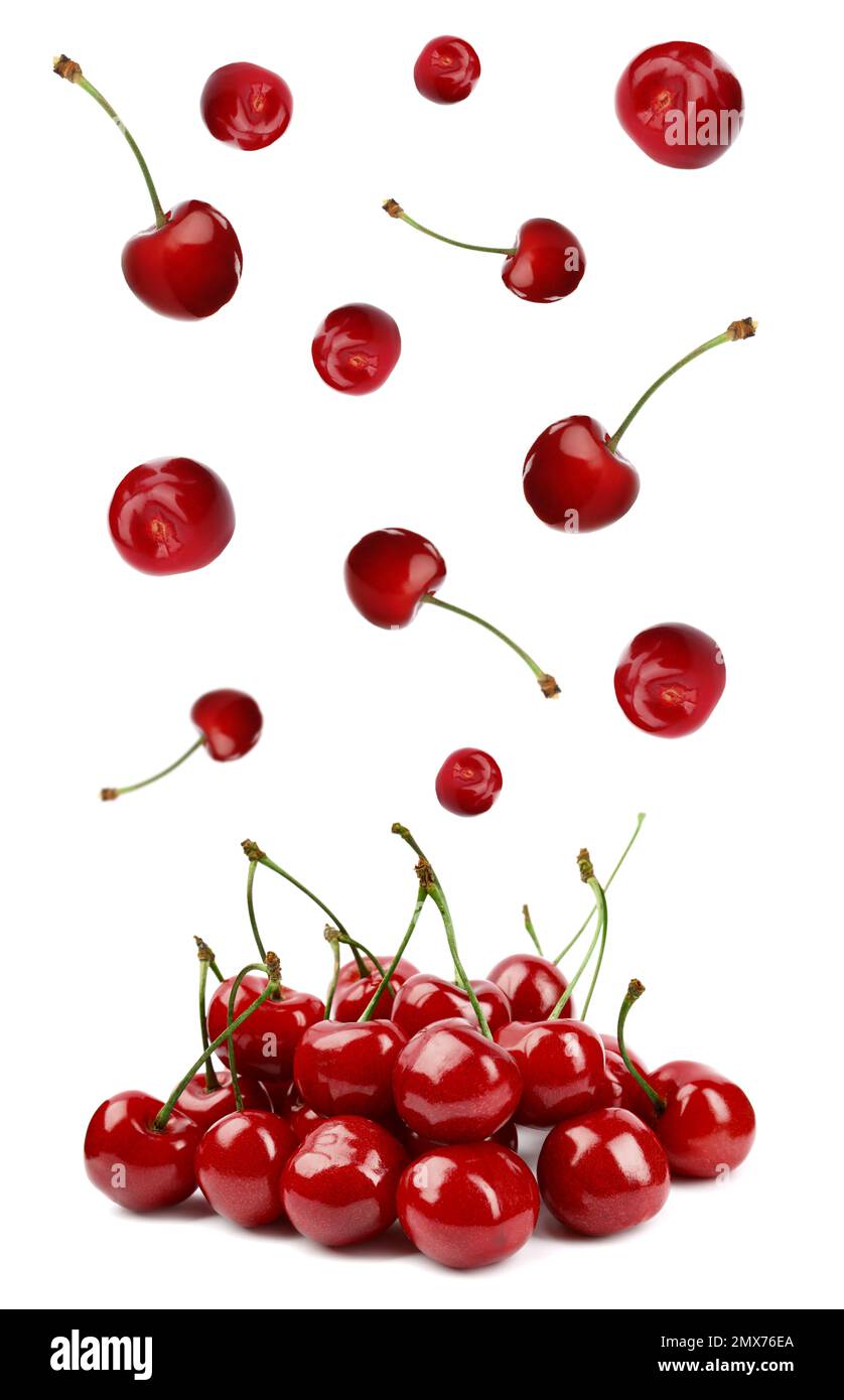Fresh ripe cherries falling on white background. Banner design Stock ...