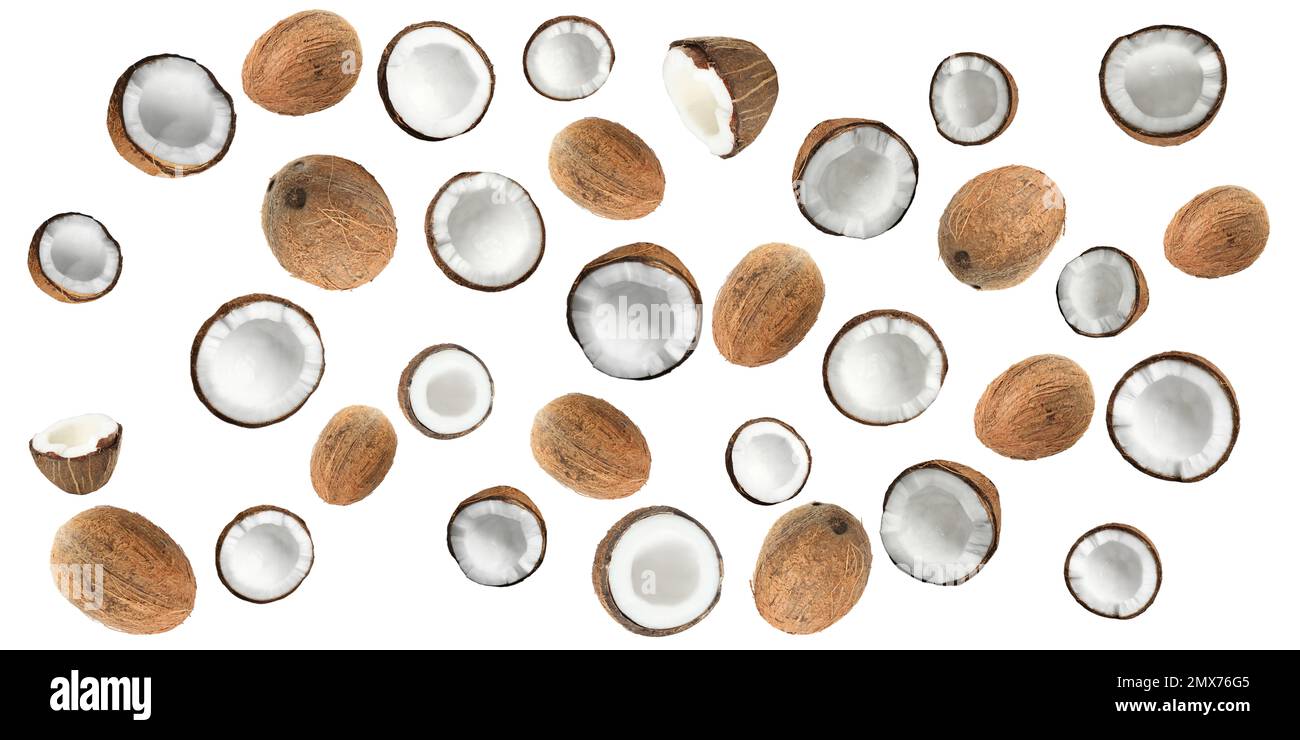 Set with ripe coconuts on white background. Banner design Stock Photo ... Set with ripe coconuts on white background. Banner design Stock Photo ...