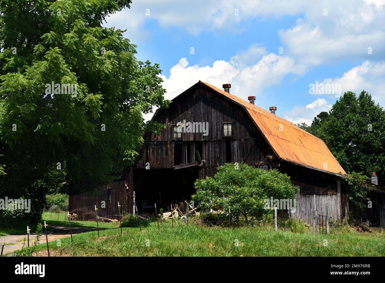 Unusual color in barn roof, yellow metal covers top. Rustic and ...