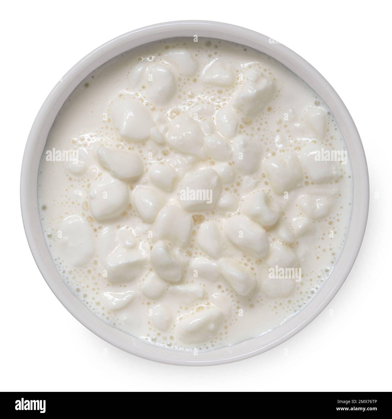 Chunky cottage cheese with whey in a white ceramic bowl isolated on ...