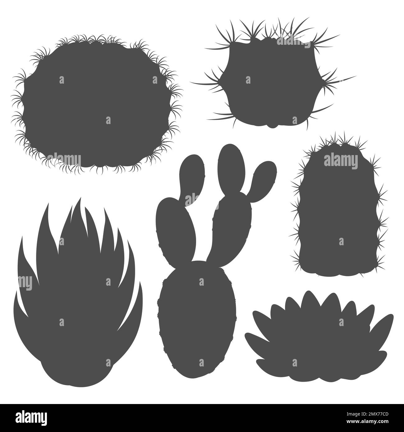 Set Of Black And White Illustrations With Cactus And Succulent Isolated Vector Objects On A