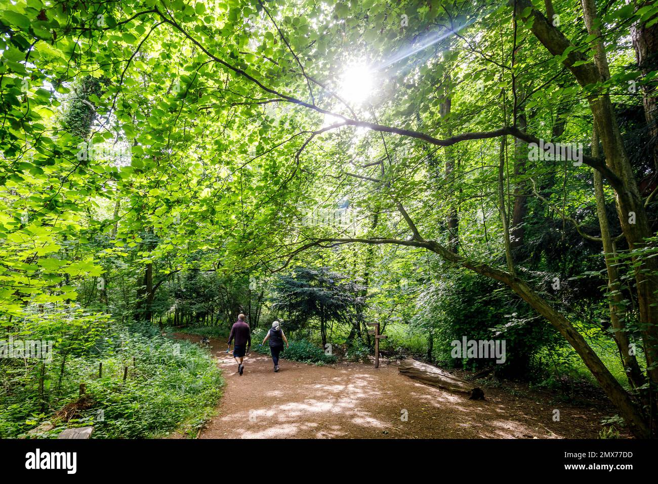 Blunsdon & Swindon Local Area Photography Stock Photo - Alamy