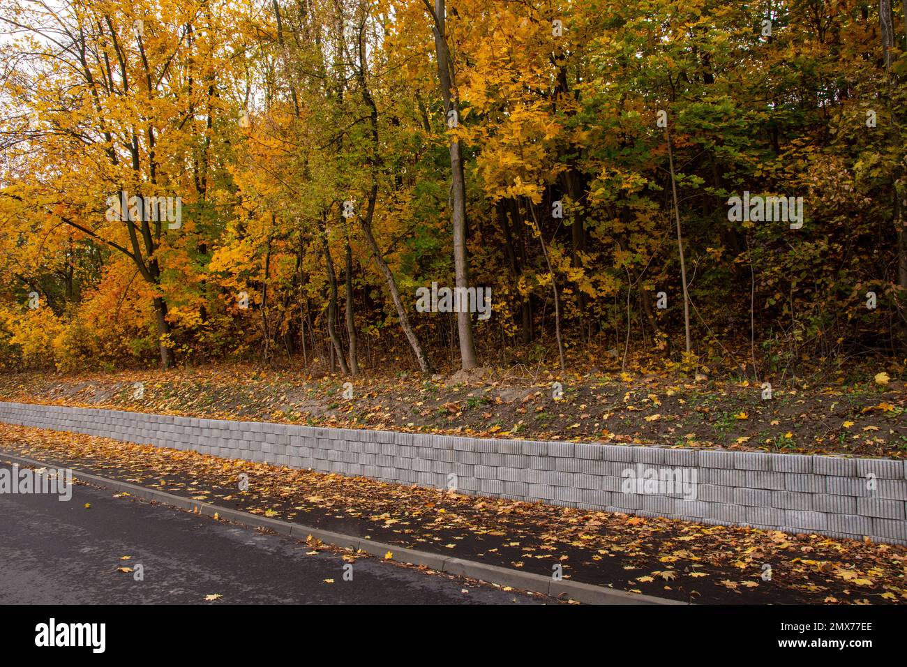 A retaining wall made of concrete elements protects the roadway and ...