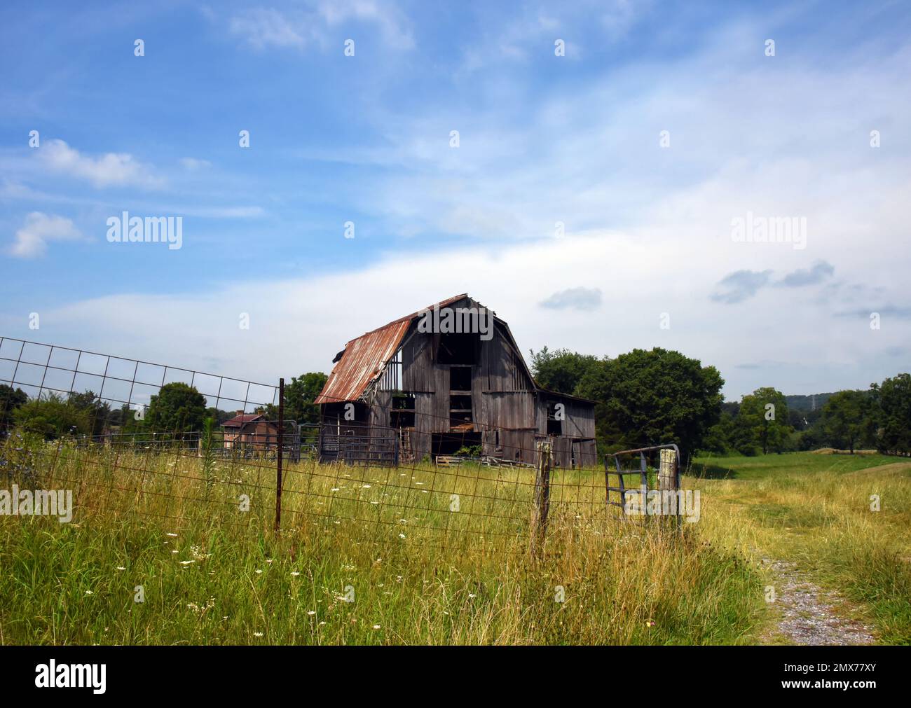 Rustic fence circles pasture containing a rustic, faded, wooden barn ...