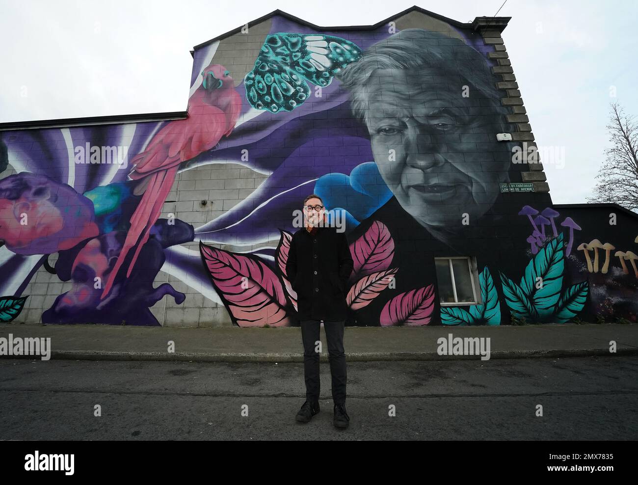 Sinn Fein's Eoin O Broin in front of a mural, on Longwood Avenue in ...