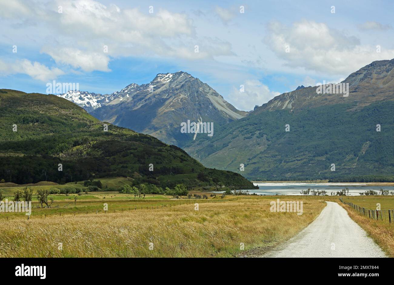 _bonpland hi-res stock photography and images - Alamy