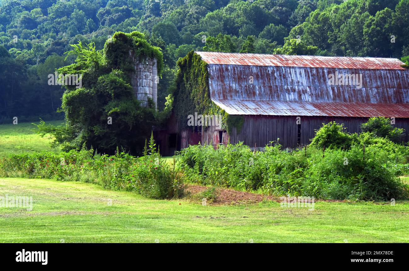 Faded red barn tin roof hi-res stock photography and images - Alamy